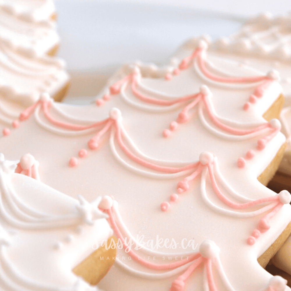 Sassy Bakes - Custom Decorated Cookies Vancouver | Sassy Bakes