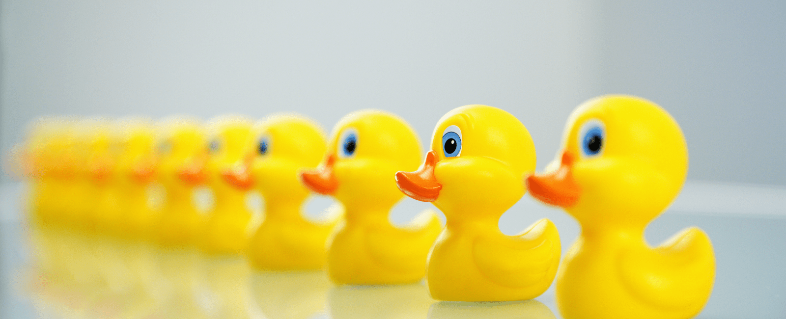 Contact Sassy at Sassy Bakes BC